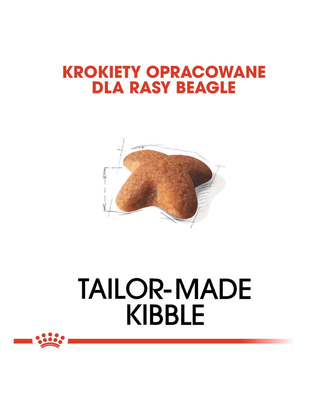 ROYAL CANIN Beagle Adult 12 kg karma sucha dla psów dorosłych rasy ...